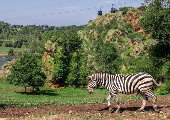 Descubriendo…el parque de la naturaleza de Cabárceno | ValleReal