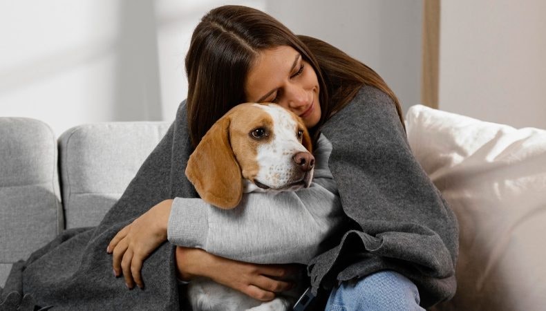 ¿Cómo puedes saber si tu perro tiene frío? te lo contamos