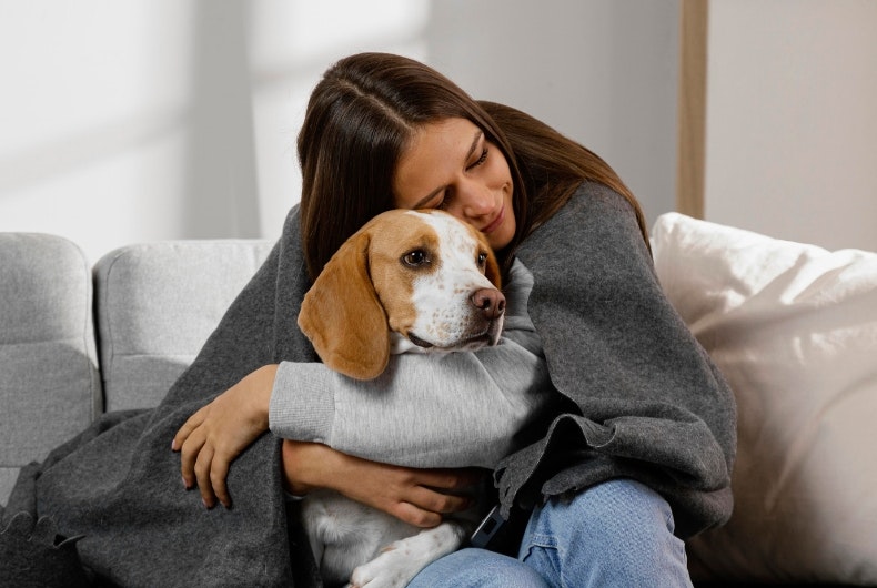 ¿Cómo puedes saber si tu perro tiene frío? te lo contamos